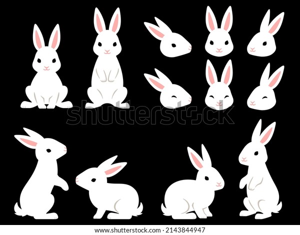 42,021 Rabbit Face Vector Images, Stock Photos & Vectors | Shutterstock