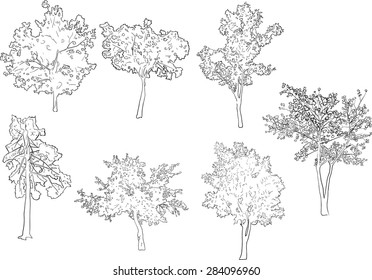 Illustration Three Tree Sketches Isolated On Stock Vector (Royalty Free ...