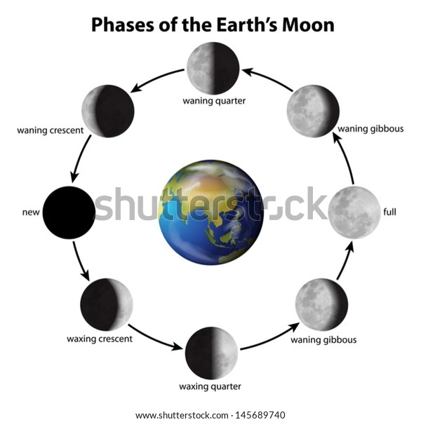 Illustration Showing Phases Moon Stock Vector (Royalty Free) 145689740