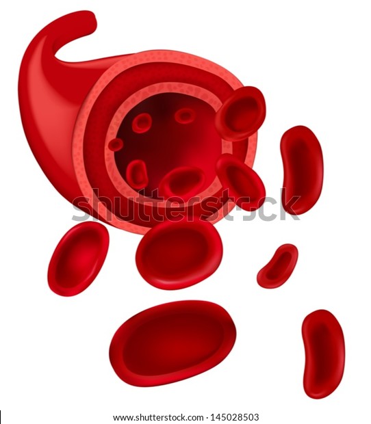 Illustration Showing Rbc Stock Vector (Royalty Free) 145028503