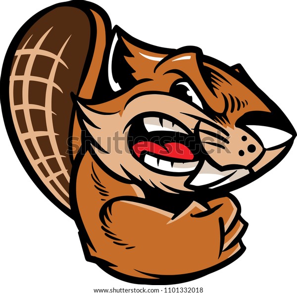 402 afbeeldingen voor Angry beaver: afbeeldingen, stockfoto‘s en ...