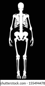 Skeleton Shows Middle Finger Vector Illustration Stock Vector (Royalty ...
