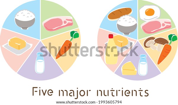 Illustration Simple Five Major Nutrient Table: vetor stock (livre de ...