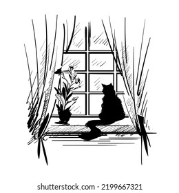 Illustration Sketch Window Cat Vector Illustration Stock Vector ...