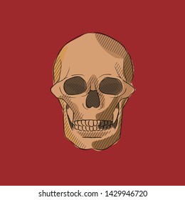 Illustration Skull Shade Stock Vector (Royalty Free) 1429946720 ...