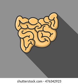 Illustration Small Intestine Vector Eps Stock Vector (Royalty Free ...