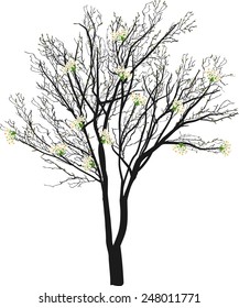 Illustration Spring Tree Isolated On White Stock Vector (Royalty Free ...