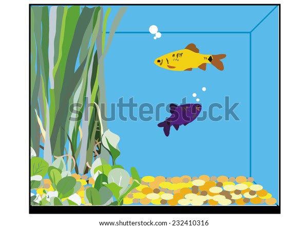 Illustration Square Fish Tank Two Fish Stock Vector (Royalty Free ...