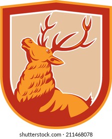 645 Stag Crest Images, Stock Photos & Vectors | Shutterstock