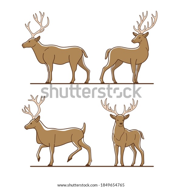 Illustration Stag Various Poses Vector Drawing Stock Vector (Royalty ...