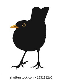 Illustration Standing Bird Stock Vector (Royalty Free) 153111260 ...
