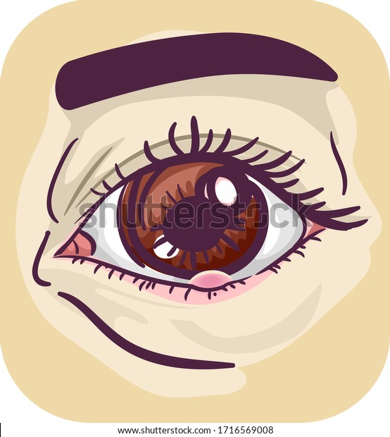 Illustration Stye Eye Stock Vector (Royalty Free) 1716569008 | Shutterstock