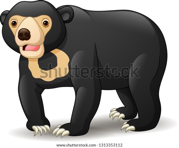 Illustration Sun Bear Isolated On White Stock Vector (Royalty Free ...