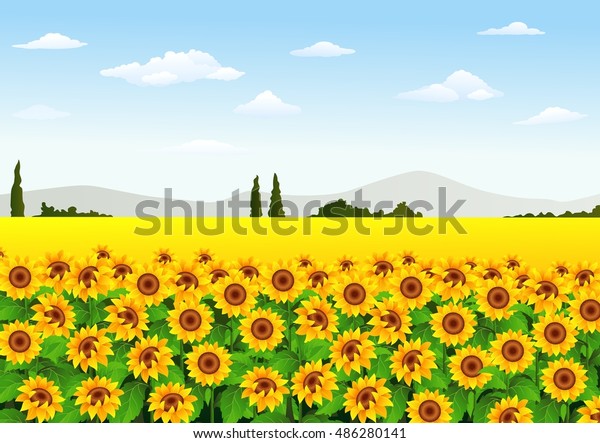 Illustration Sunflower Field Stock Vector (Royalty Free) 486280141 ...