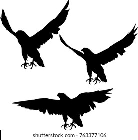 Illustration Three Hawk Silhouettes Isolated On Stock Vector (Royalty ...