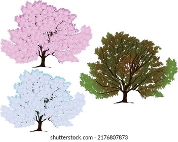 Illustration Three Seasons Tree Isolated On Stock Vector (Royalty Free ...