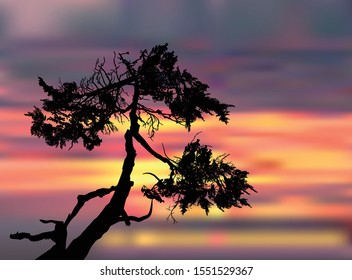 Illustration Tree On Sunset Background Stock Vector (Royalty Free ...