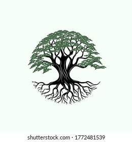 Illustration Tree Root Logo Design Stock Vector (Royalty Free ...