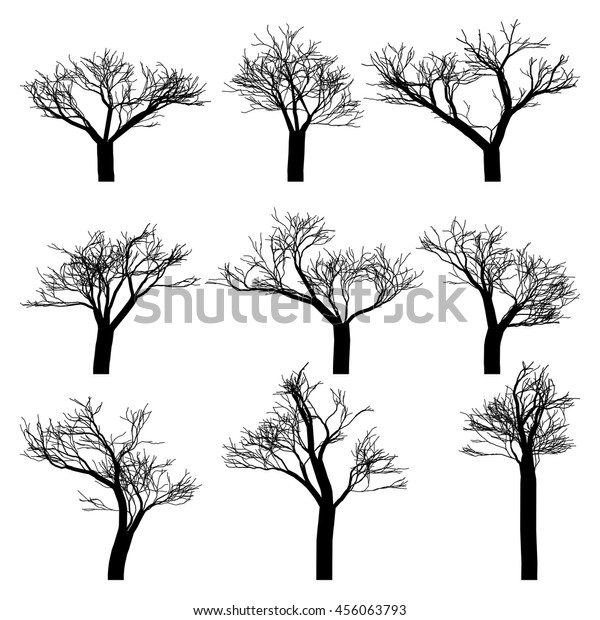 Illustration Trees No Leaves Stock Vector (Royalty Free) 456063793 ...
