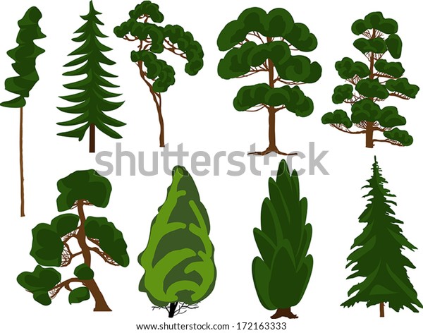 Illustration Trees Set Isolated On White Stock Vector (Royalty Free ...