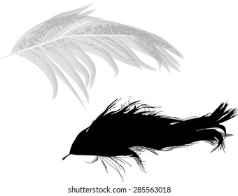 Illustration Two Feathers Isolated On White Stock Vector (Royalty Free ...