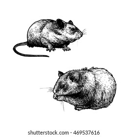 Illustration Two Mice Stock Vector (Royalty Free) 469537616 | Shutterstock