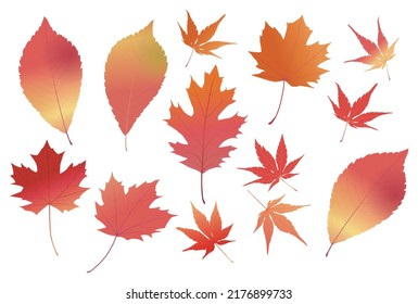 Illustration Various Red Fallen Leaves Vector Stock Vector (Royalty ...