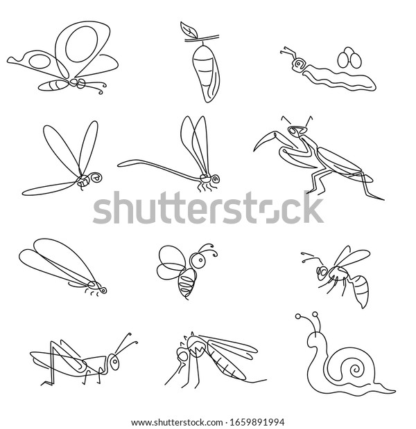 Illustration Various Types Insects Outline Style Stock Vector (Royalty ...
