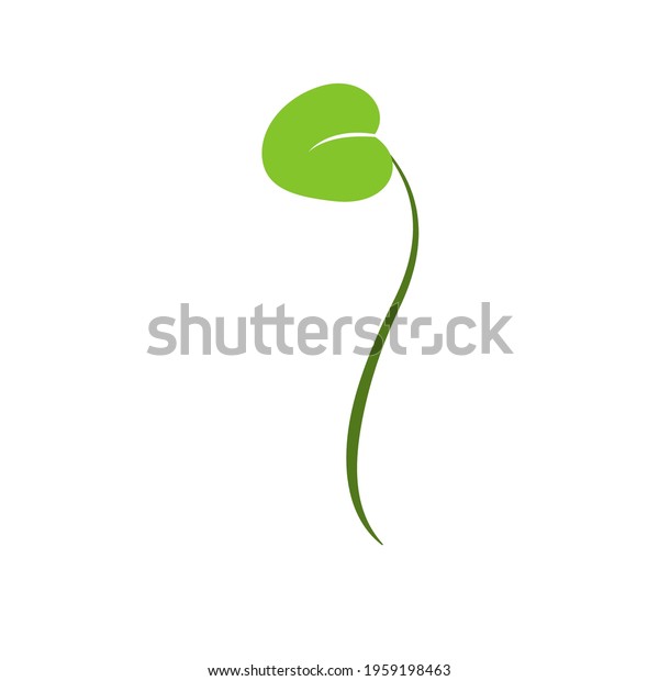 Illustration Vector Graphic Design Microgreen Logo Stock Vector ...