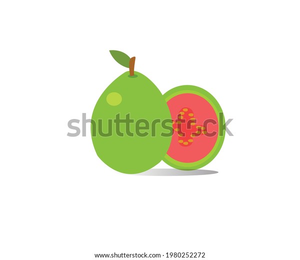 Illustration Vector Graphic Guava Stock Vector (Royalty Free ...