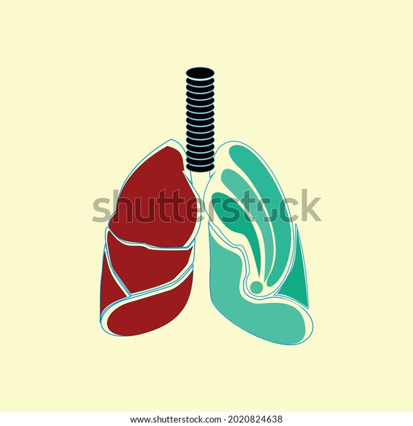 Illustration Vector Graphic Og Lungs Medical Stock Vector (Royalty Free ...