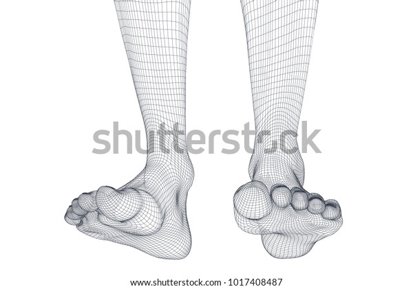 Illustration Vector Human Feet Walking Along Stock Vector (Royalty Free ...