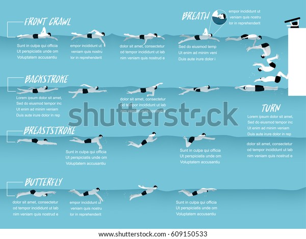 Illustration Vector Info Graphic Swimming Strokes Stock Vector (Royalty ...