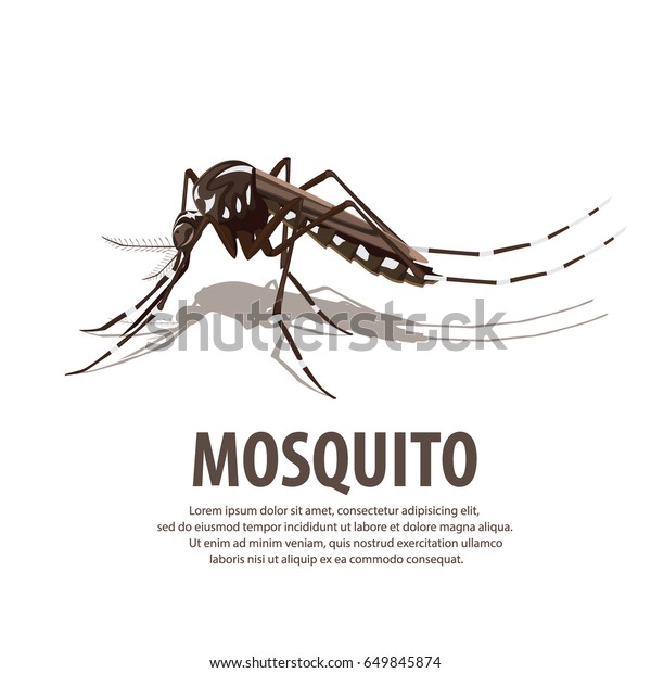 Illustration Vector Target On Mosquito Mosquitoes Stock Vector (Royalty ...