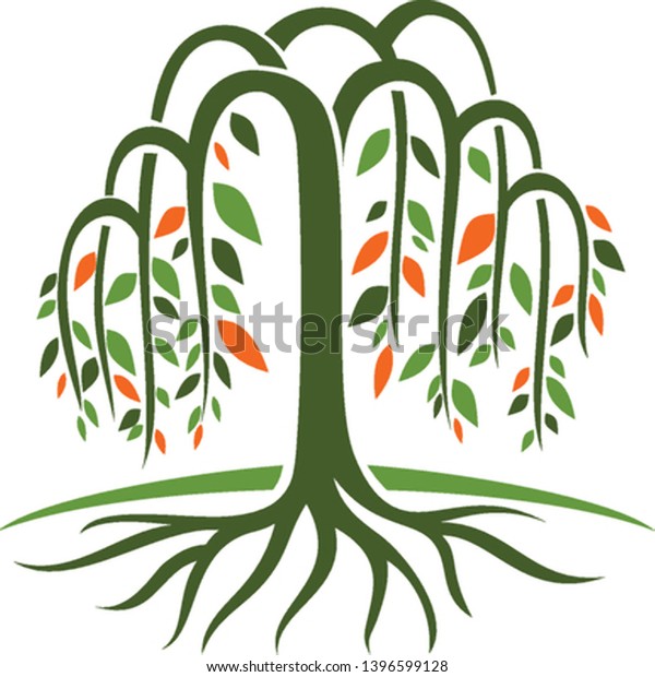 Illustration Willow Tree Roots Stock Vector (Royalty Free) 1396599128