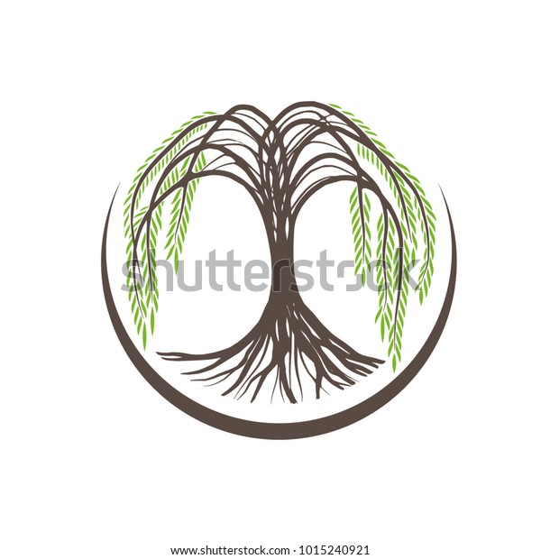 Illustration Willow Tree Round Logo Design Stock Vector (Royalty Free ...