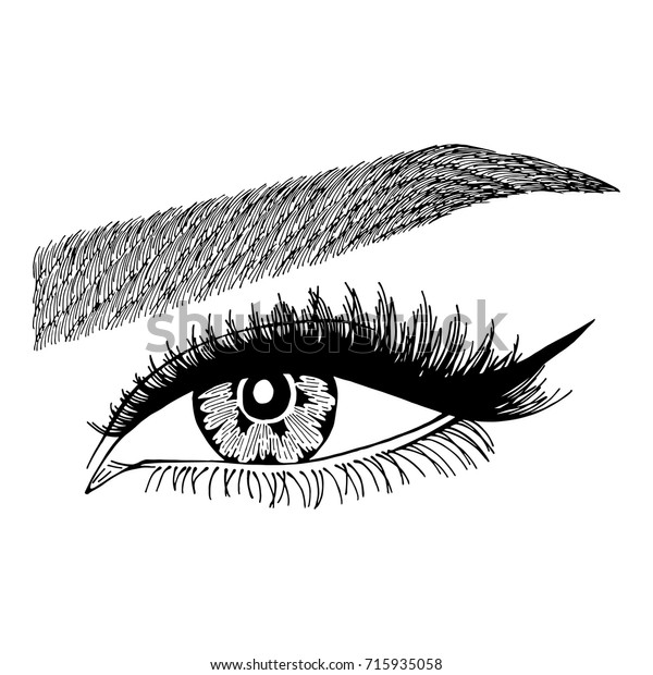 Illustration Womans Eye Eyebrow Makeup Look Stock Vector (Royalty Free ...