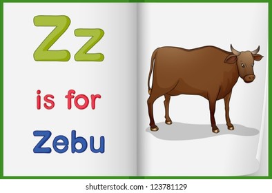 53 Z is for zebu animal alphabet Images, Stock Photos & Vectors ...