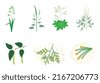 7+ Thousand Ragweed Royalty-Free Images, Stock Photos & Pictures ...