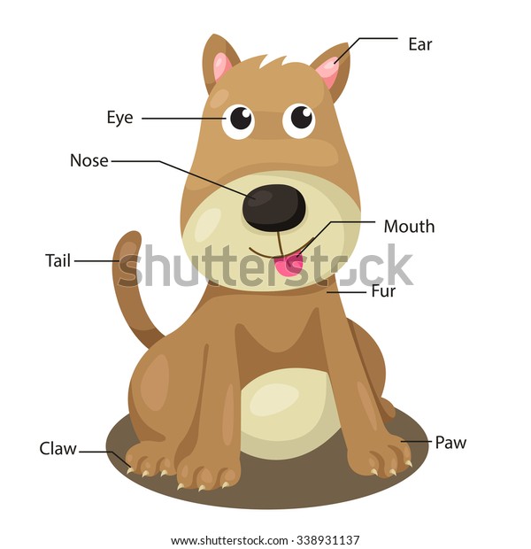 Illustrator Dog Body Part Stock Vector (Royalty Free) 338931137 ...