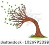 122,837 Wind Cartoon Royalty-Free Images, Stock Photos & Pictures ...