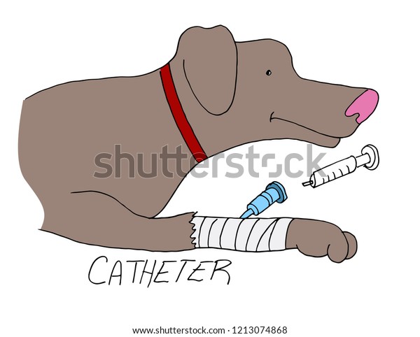 Image Catheter Placed On Dogs Paw Stock Vector (Royalty Free) 1213074868
