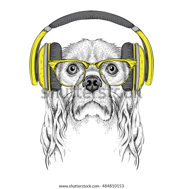 La imagen de Cocker Spaniel en las gafas, auriculares y en el sombrero ...