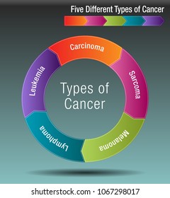 Image Five Different Types Cancer Chart: เวกเตอร์สต็อก (ปลอดค่า ...