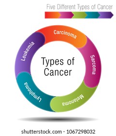 Image Five Different Types Cancer Chart Stock Vector (Royalty Free ...