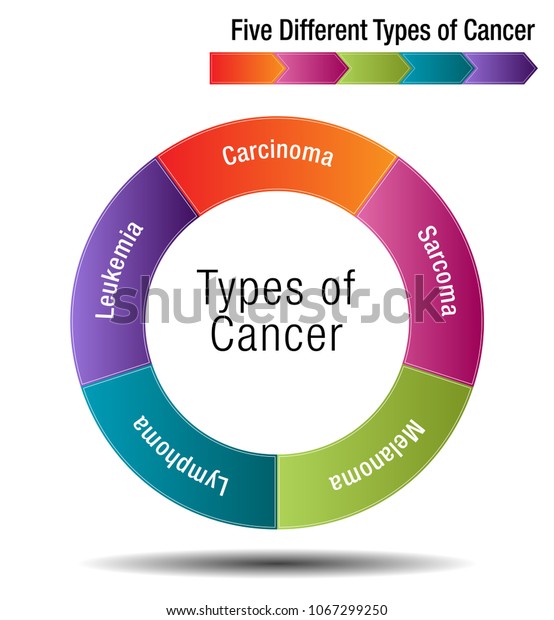 Image Five Different Types Cancer Chart: เวกเตอร์สต็อก (ปลอดค่า ...