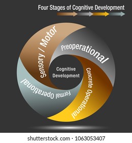 Image Four Stages Cognitive Development Chart Stock Vector (Royalty ...