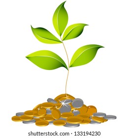 Image Growing Wealth Plant Stock Vector (Royalty Free) 133194230 ...