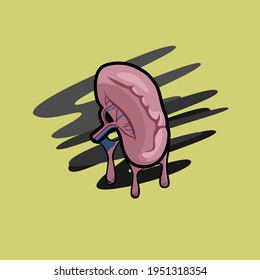 Anatomica Images, Stock Photos & Vectors | Shutterstock