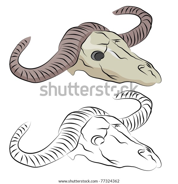 Image Ox Skull Line Drawing Stock Vector (Royalty Free) 77324362